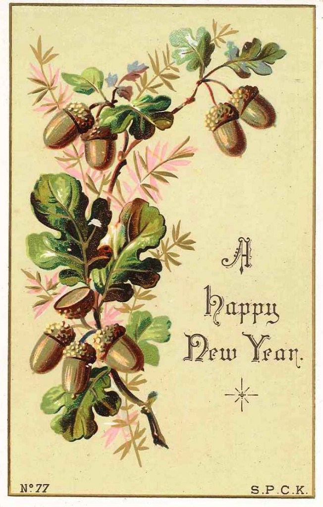 A Victorian Christmas Advent Calendar: 7th December – Cambridge ...