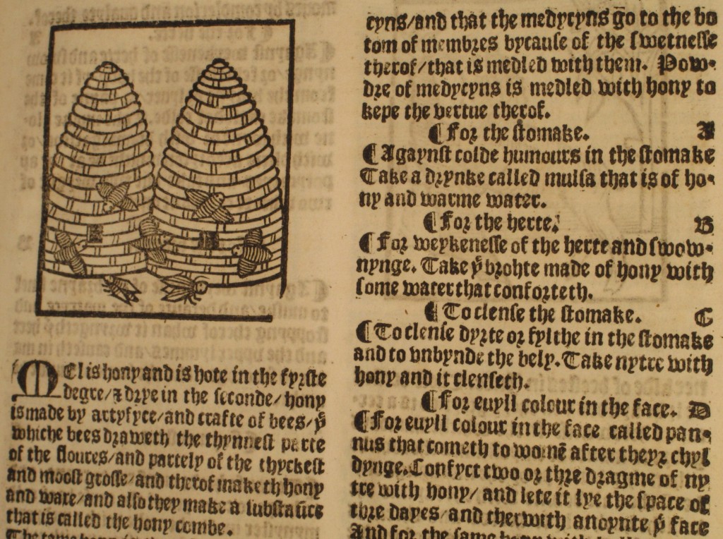 Peter Treveris’ Grete herball of 1529 – Cambridge University Library ...