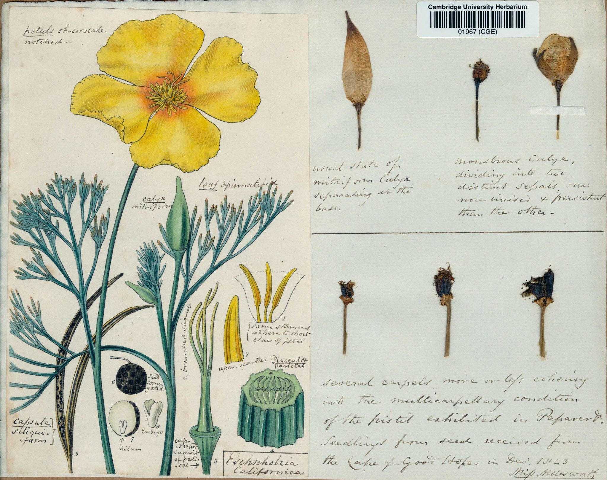 The man who knew everything! The letters of John Stevens Henslow (1796 ...