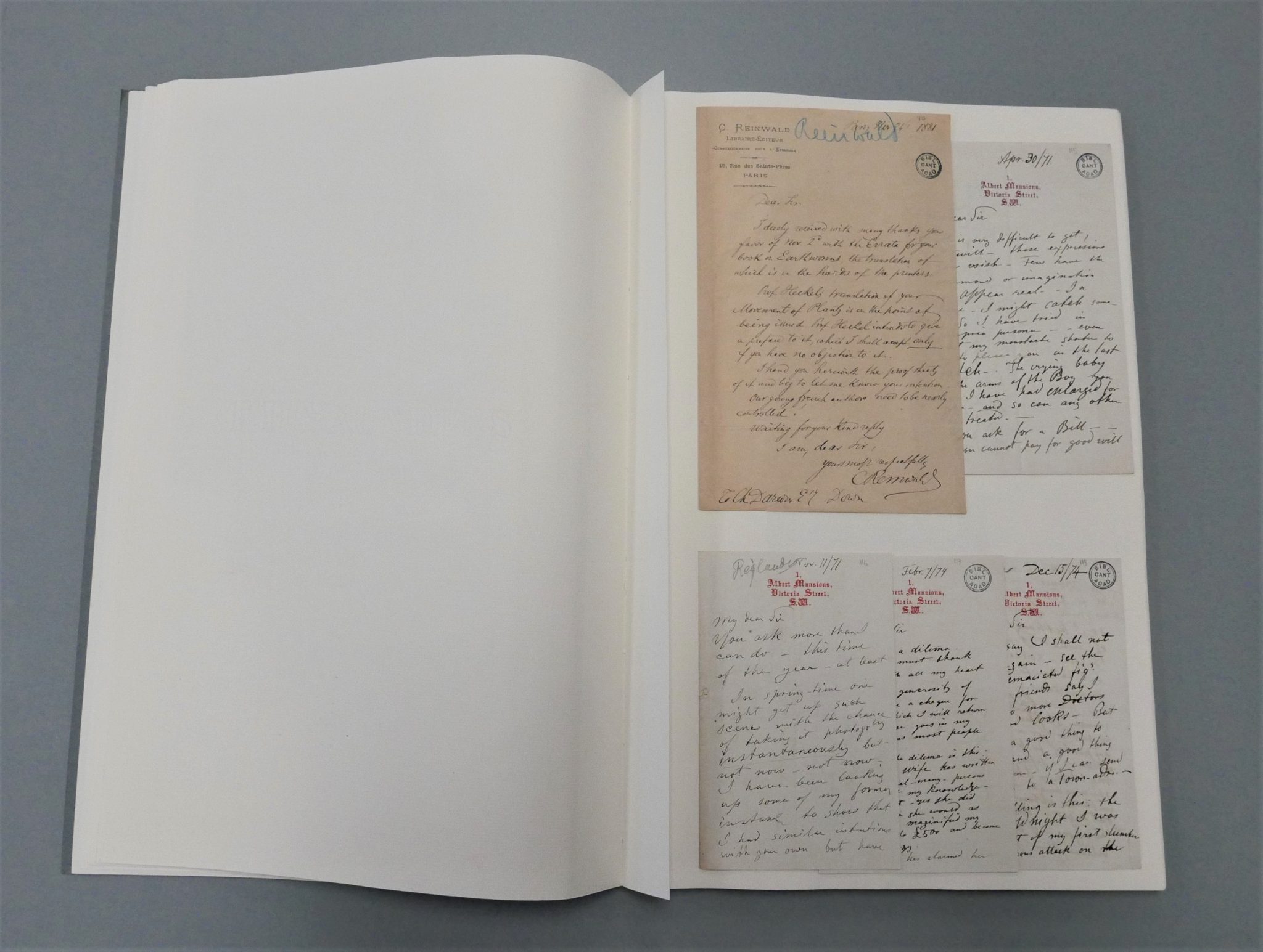 Turning over a new leaf: Fasciculing fragile letters and plant ...