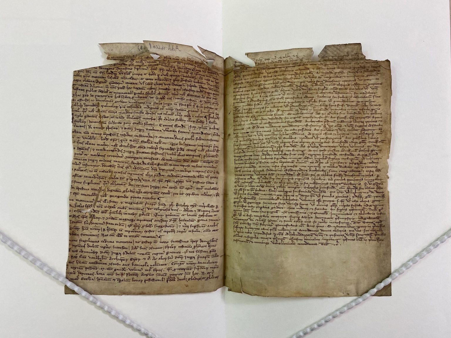Fragments, fragments, fragments – Cambridge University Library Special ...